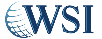 WSI Digital Marketing Services